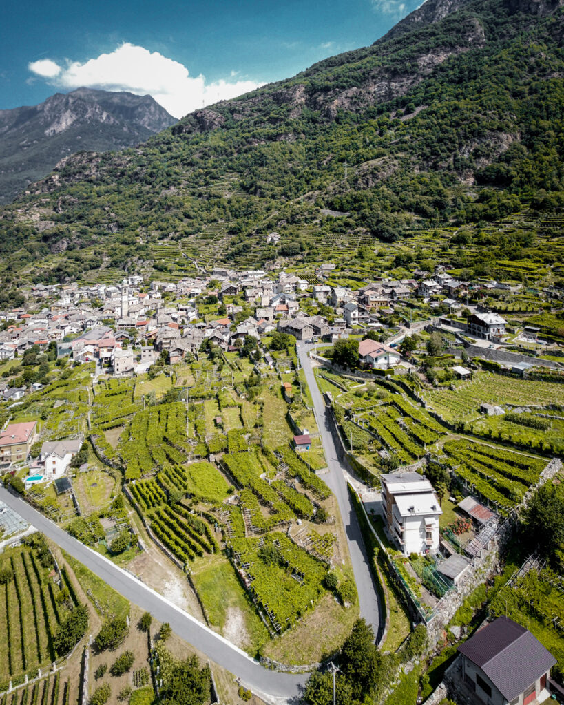 Degusta il Carema DOC a CellaGrande
